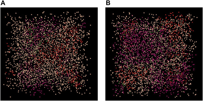 Evidence-Based Network Modelling to Simulate Nucleus Pulposus Multicellular Activity in ...